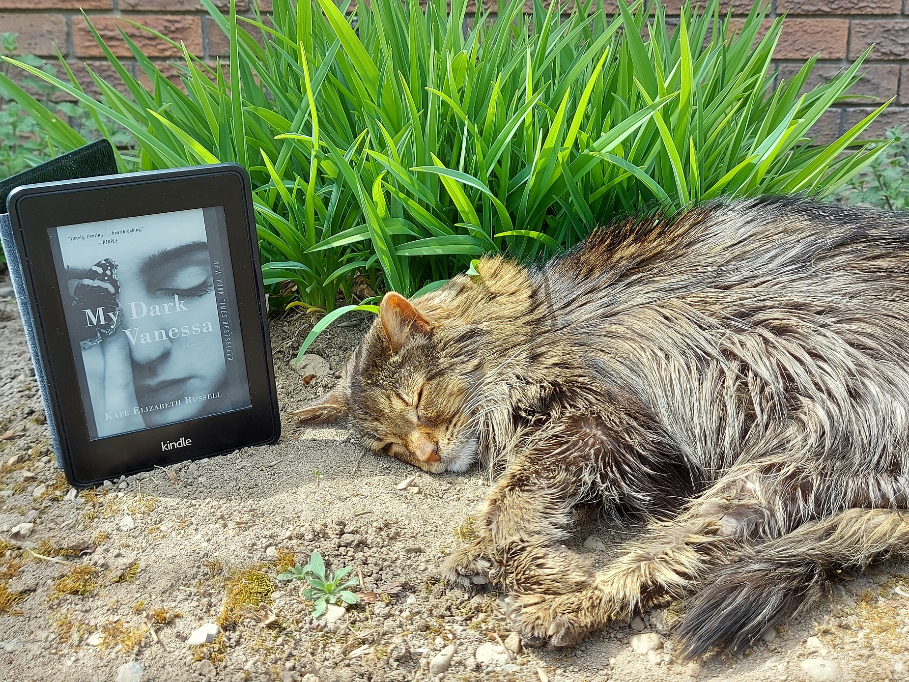 My Dark Vanessa by Kate Elizabeth Russell – Bibliokitty