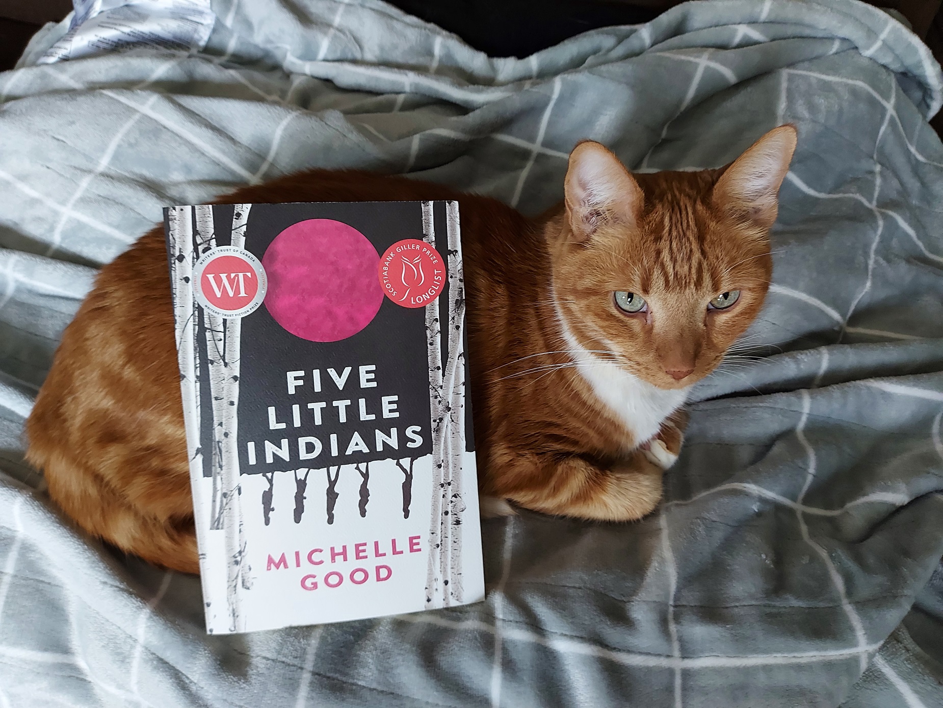 Five Little Indians by Michelle Good – Bibliokitty