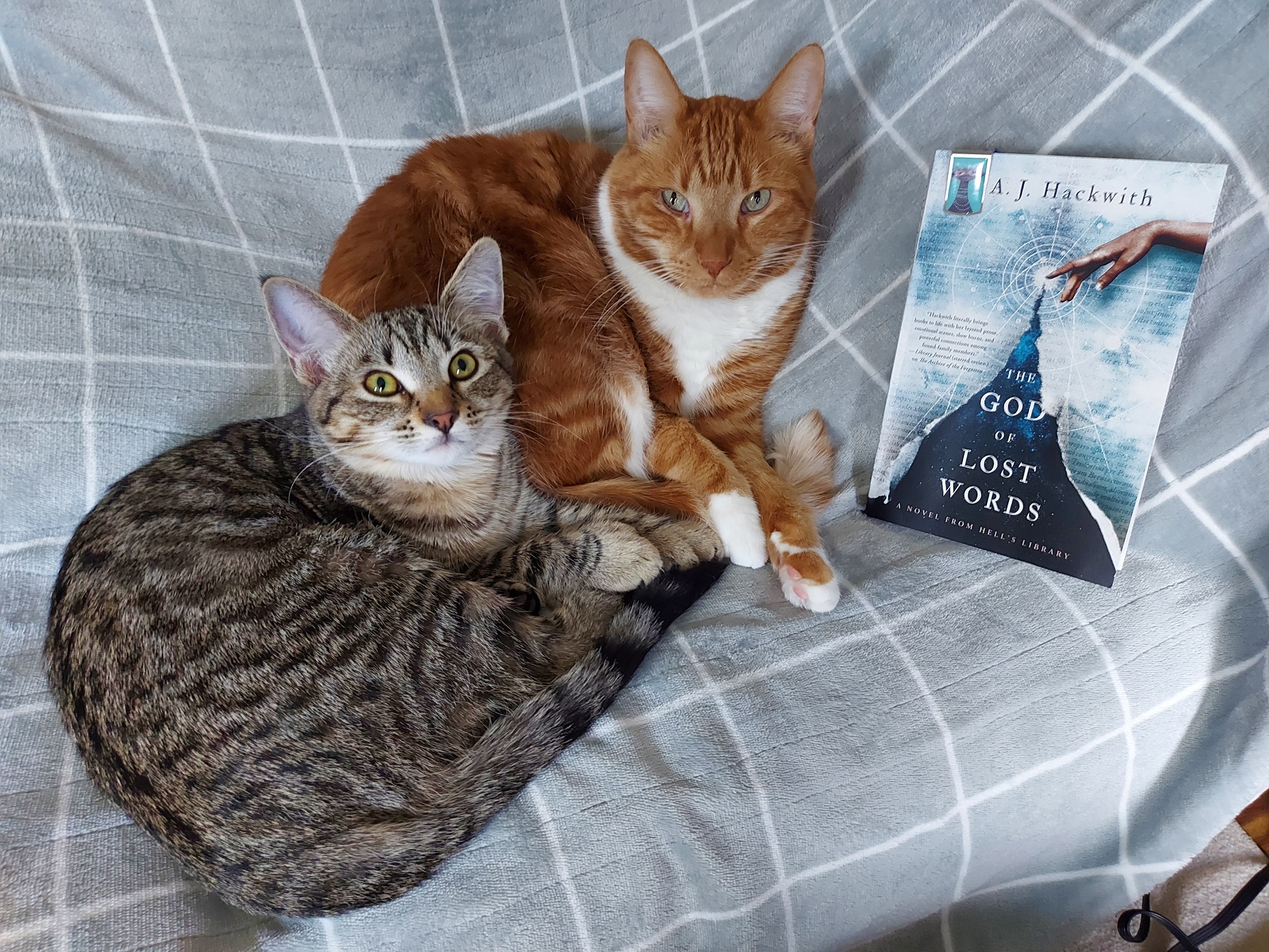The God of Lost Words by A. J. Hackwith – Bibliokitty