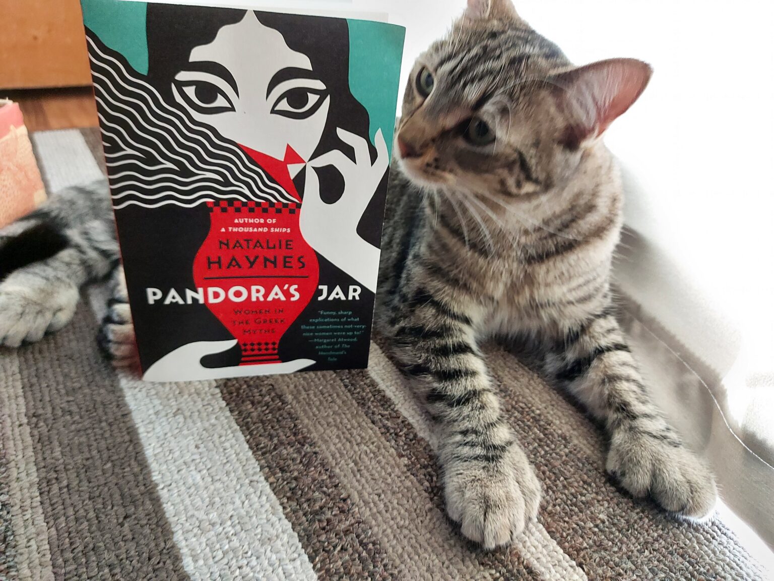 Pandora’s Jar by Natalie Haynes – Bibliokitty